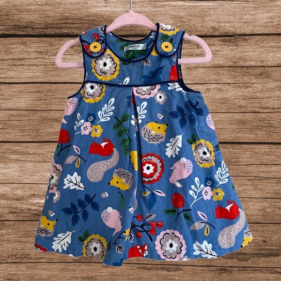 Baby Boden | Dresses | Baby Boden Corduroy Hedgehog Dress 62 Months ...